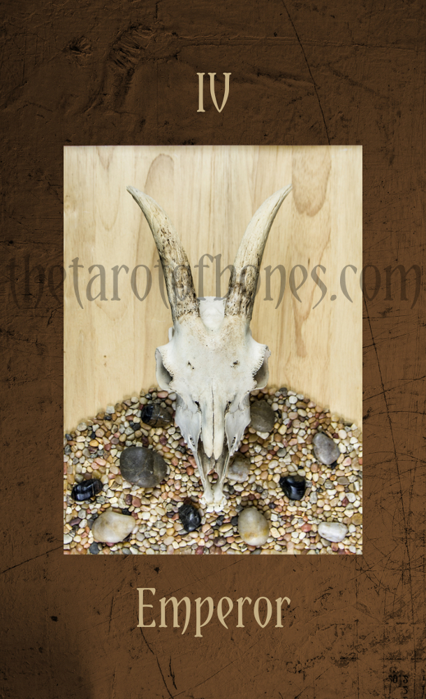 Emperor | The Tarot of Bones