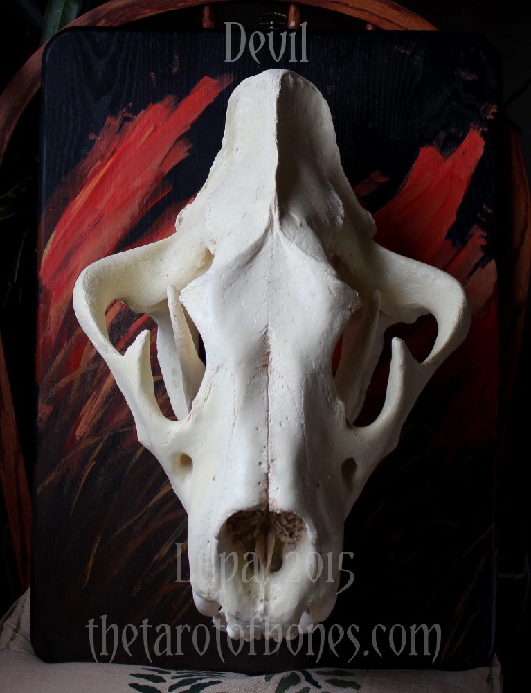 Devil | The Tarot of Bones